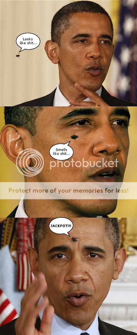 The Obama Fly Will Not Comply! > General Discussion > AR15.COM