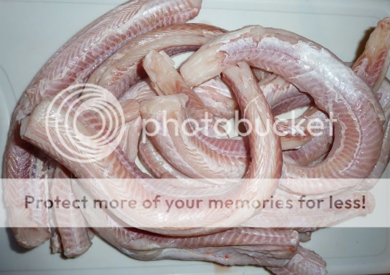 How to skin a dogfish | Gardeners Corner - The Friendly Gardening Forum