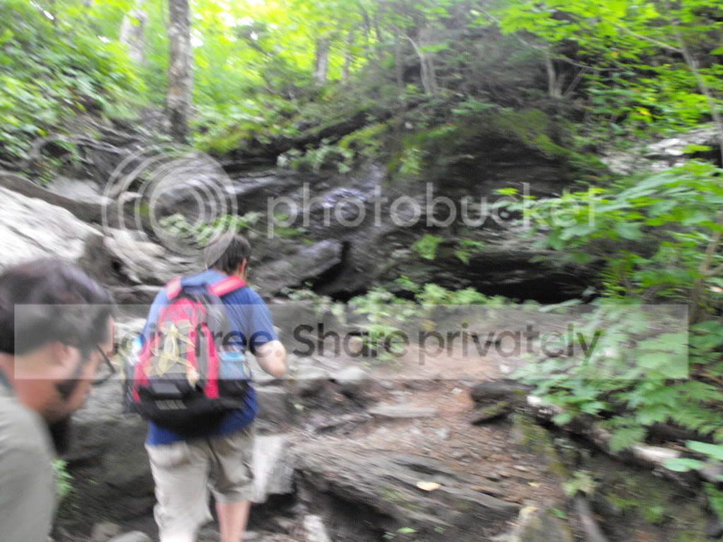 Hiking with bonus Range-time PIC-A-SARAUS REX! > General Discussion ...